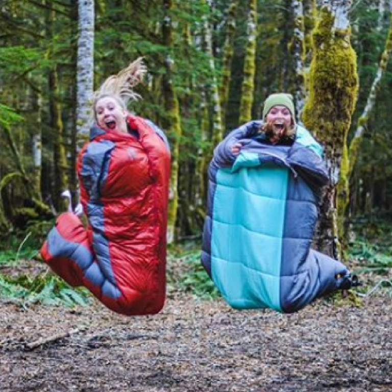 20 Pet-Friendly Cities for Gypsy Dogs - The Gypsy Nurse