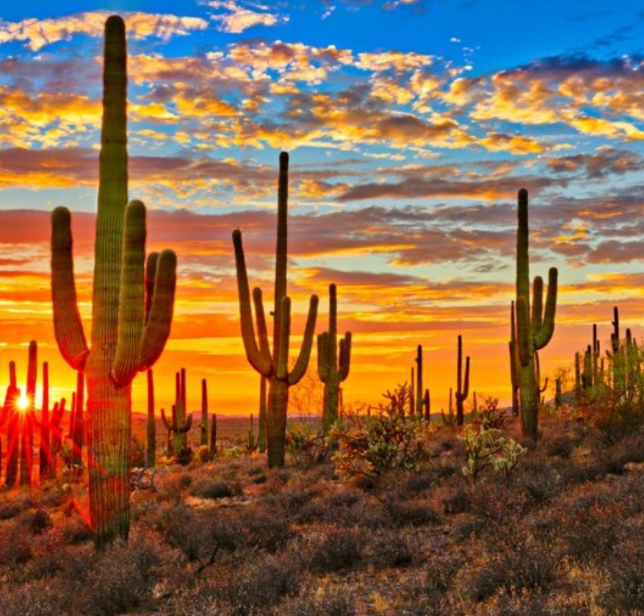 5 Major Components For A Healthy Lifestyle: Tips for Travel Nurses