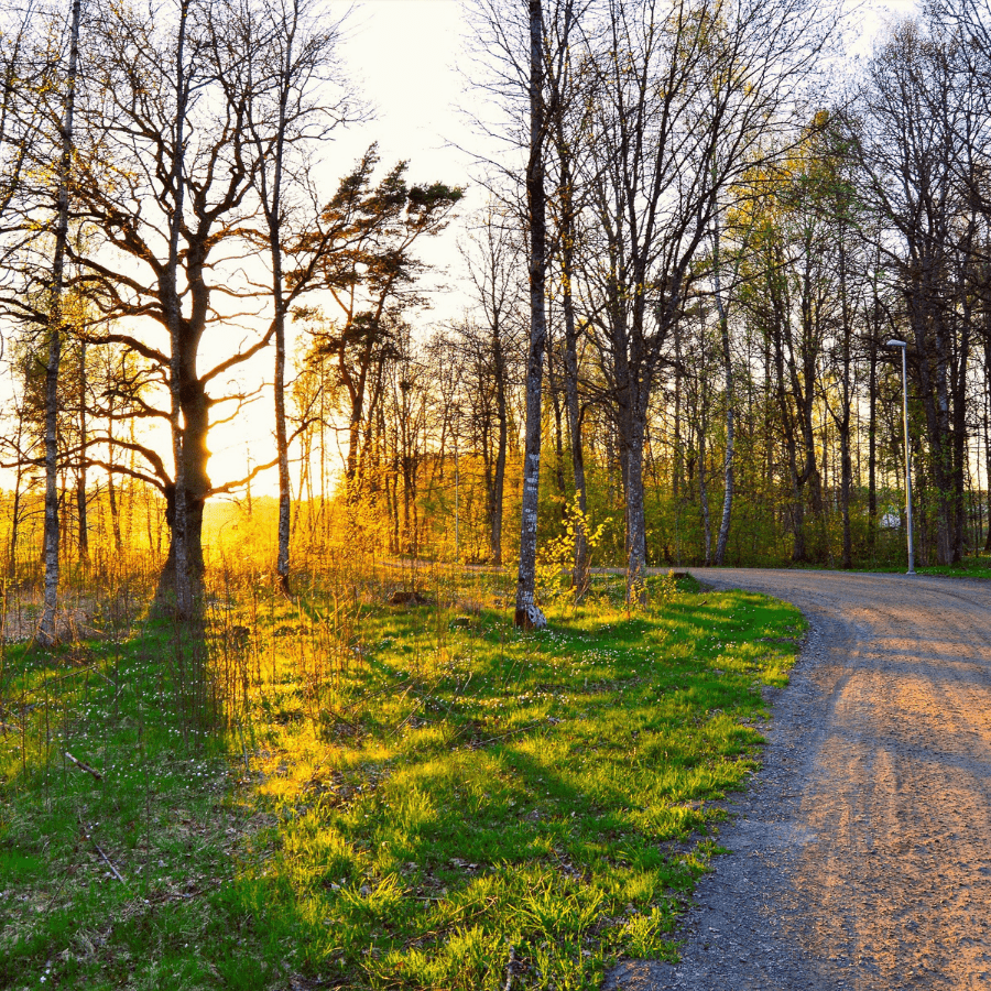 Spring Locations to Consider this Year: Location Tips for Travel Nurses