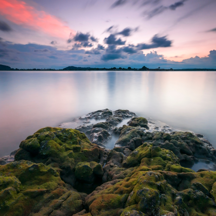 Calming Techniques for Distressed Patients