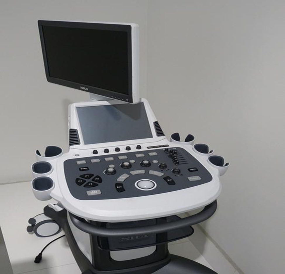 Ultrasound Training: Efficacy of an Ultrasound Training Program for Nurses