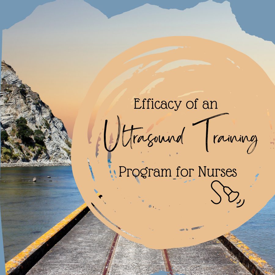 Ultrasound Training: Efficacy of an Ultrasound Training Program for Nurses
